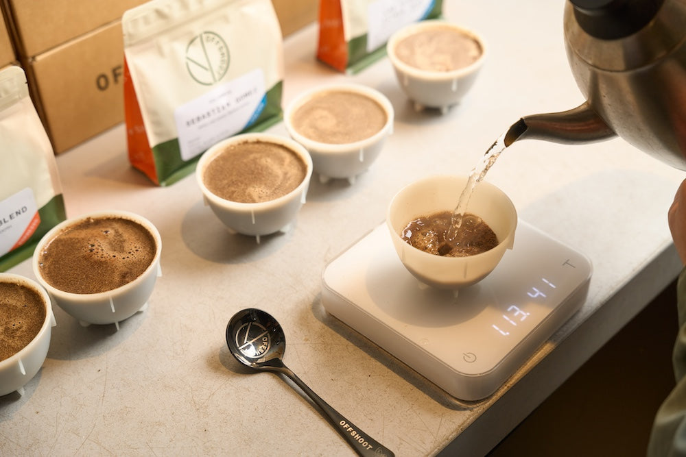 August Special Public Cupping - Coffee Around the World – Offshoot Coffee