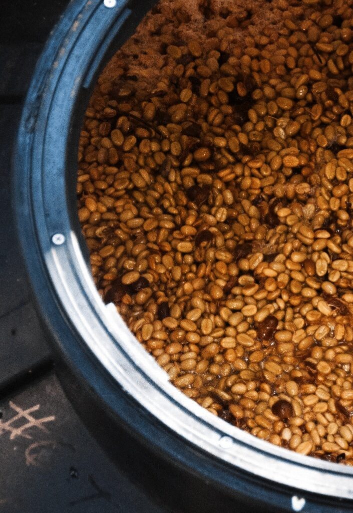 Offshoot Coffee - Hacienda La Esmeralda - Geisha - Mario #5 - Washed ...
