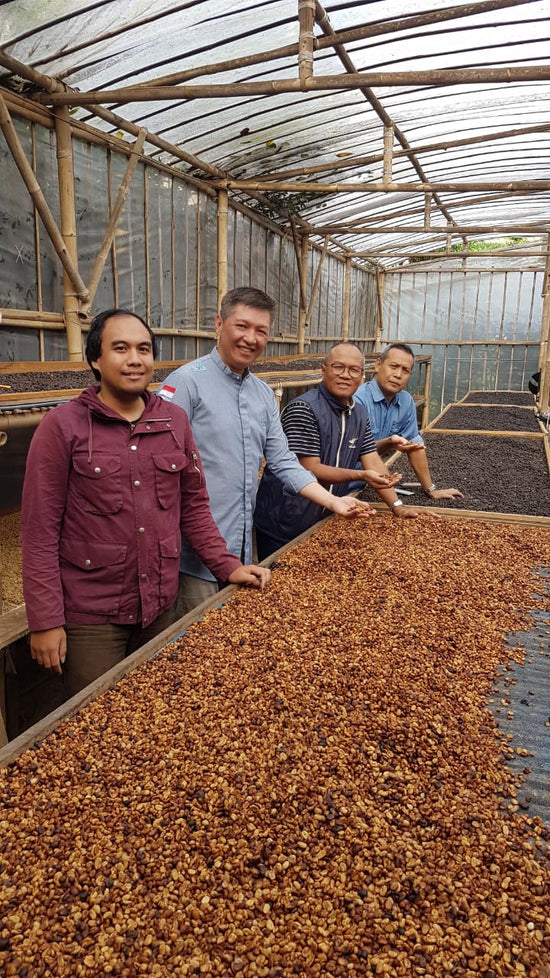 Offshoot Coffee | Exclusive and Rare Specialty Coffee