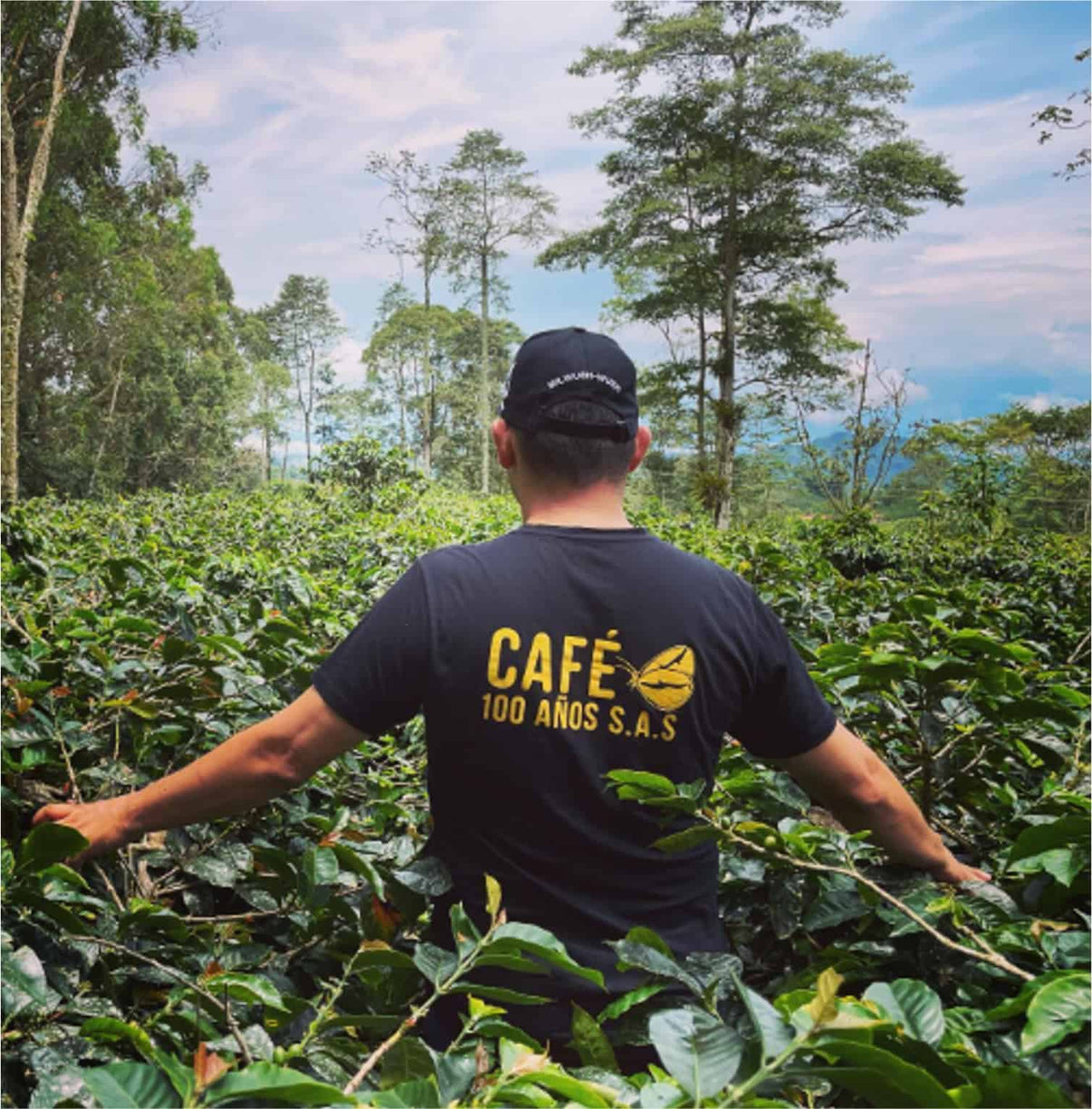 Las Flores - Java - Berry Ensemble *Rare* – Offshoot Coffee